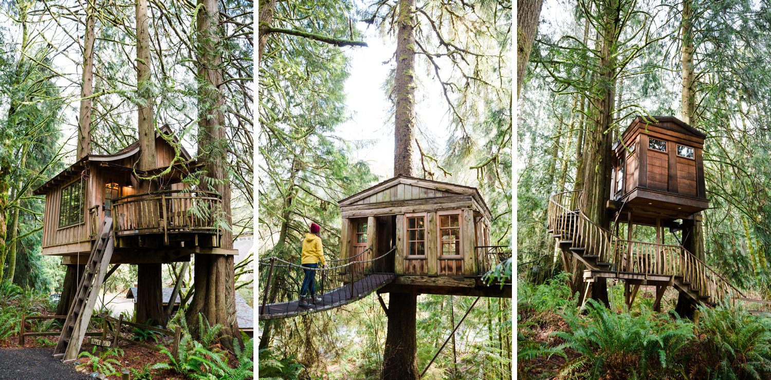 How to Find Your Perfect Seattle Wedding Venue ...